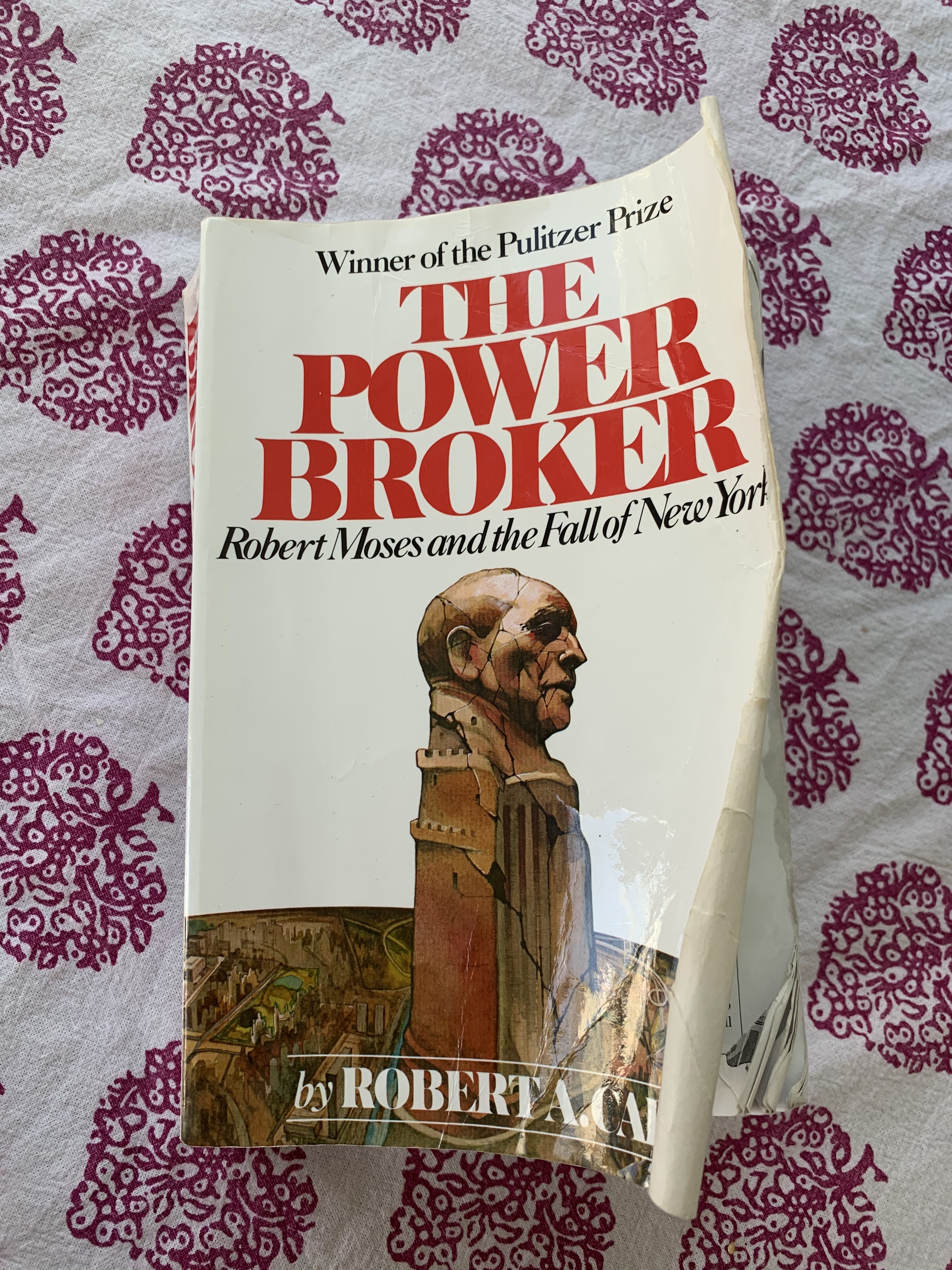 On Finishing the Power Broker – Silicon Spatula